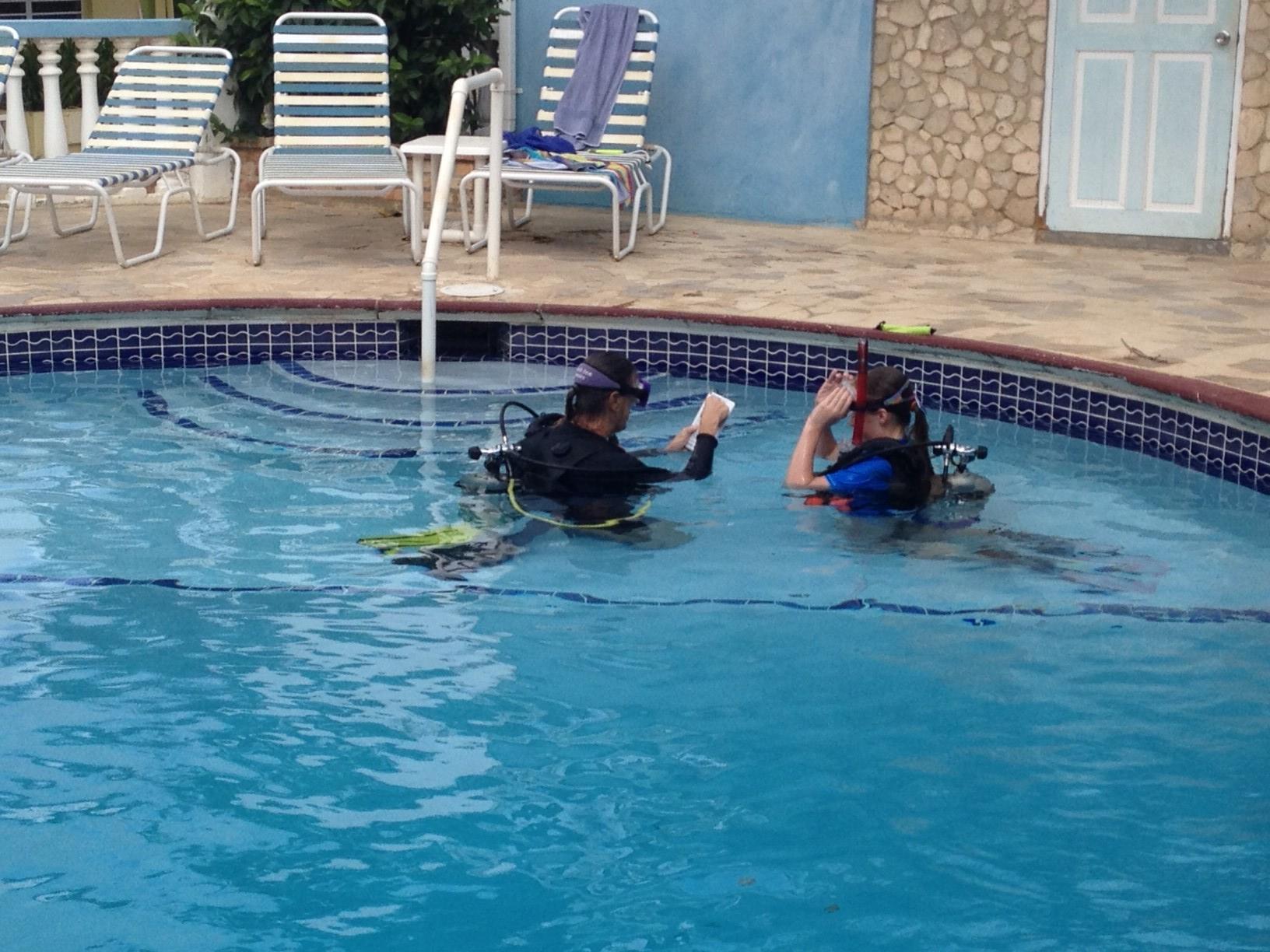 Diving at Bruce Bowker's Carib Inn - InfoBonaire